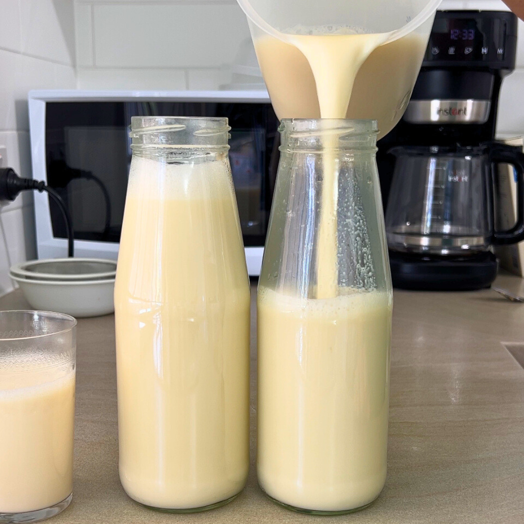 Homemade Fresh Soy Milk from Whole Dried Soy Beans